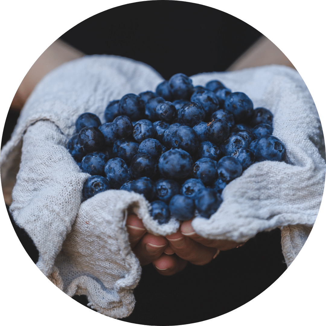 Minneapolis Cider Company