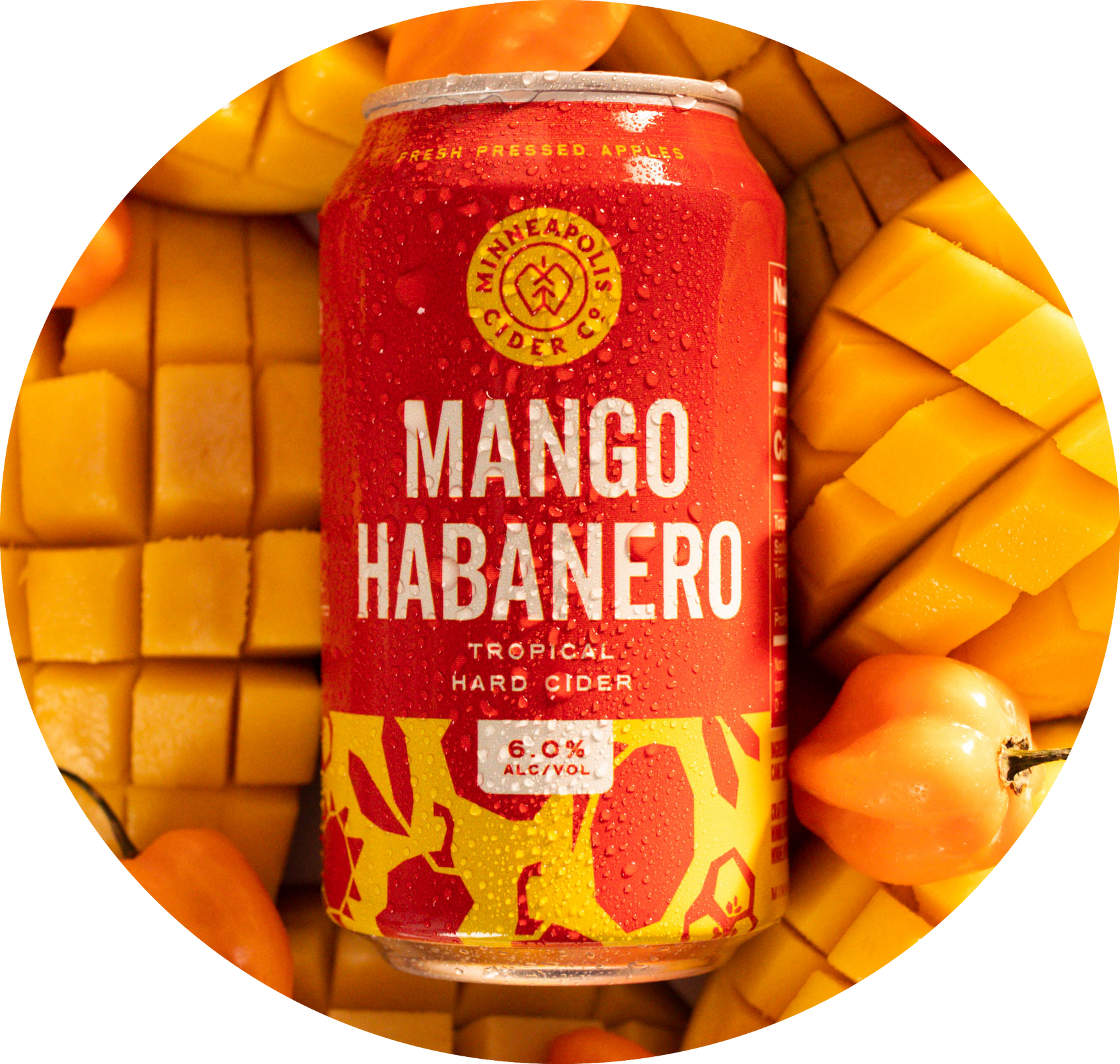 Minneapolis Cider Company